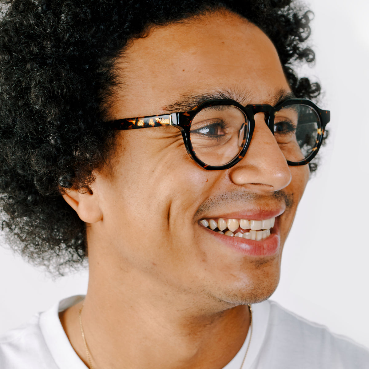 Pinto - Ember - Specs – Oscar Deen